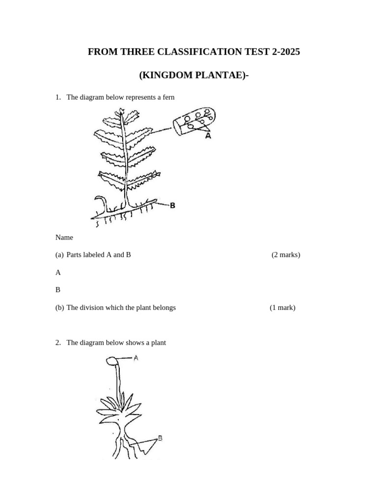 From Three Classification Test 2 | PDF