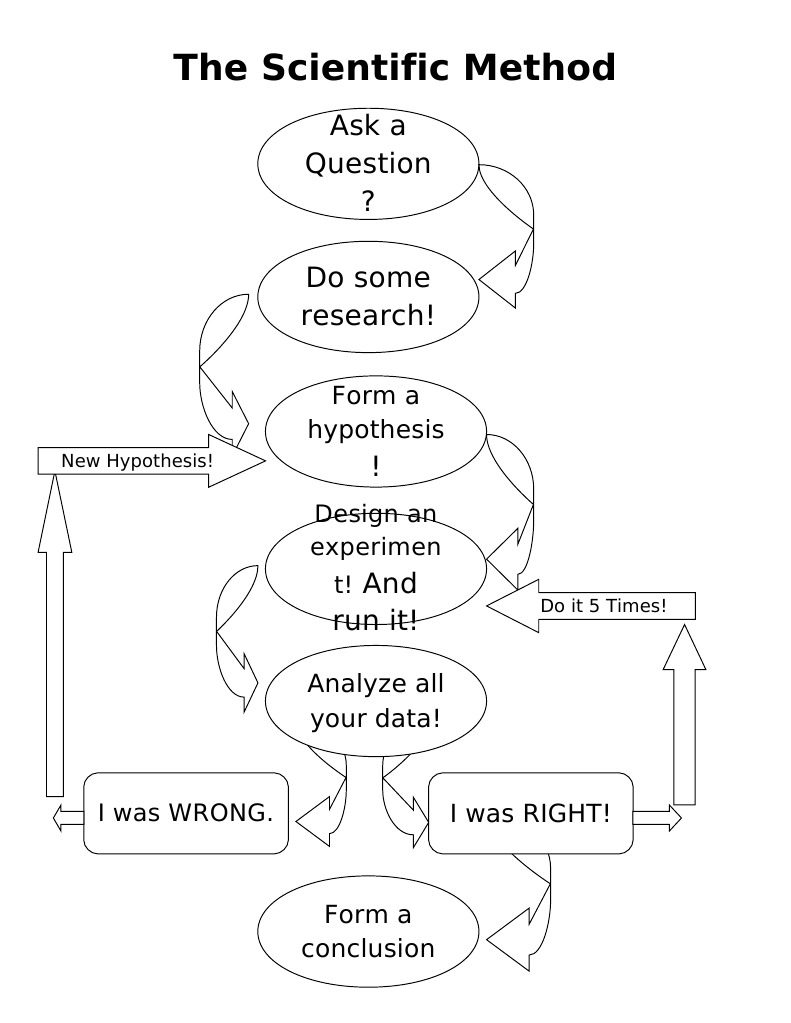 Understanding the Scientific Method | PDF | Self-Improvement