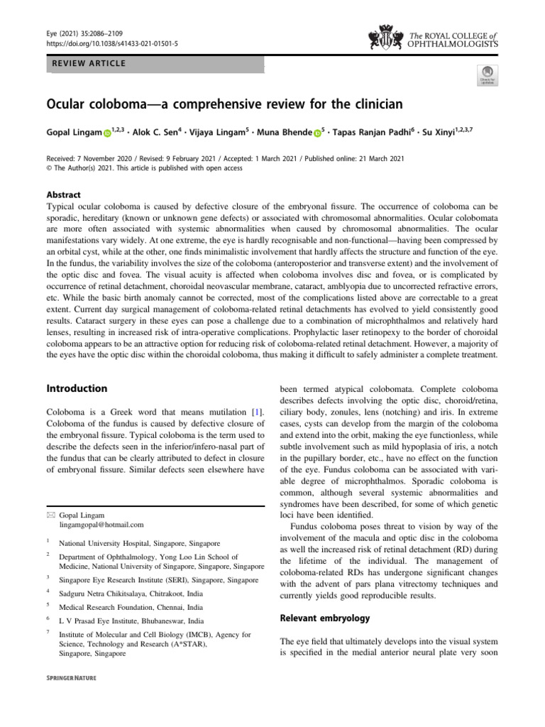 Ocular Coloboma-A Comprehensive Review For The Clinician | PDF | Retina ...