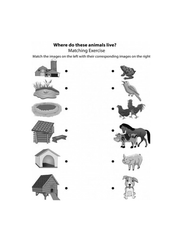 Fun Activities: Picture Differences & Maze | PDF