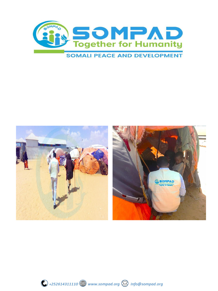 Needs Assessment for IDPs in Kahda | PDF | Malnutrition | Internally ...