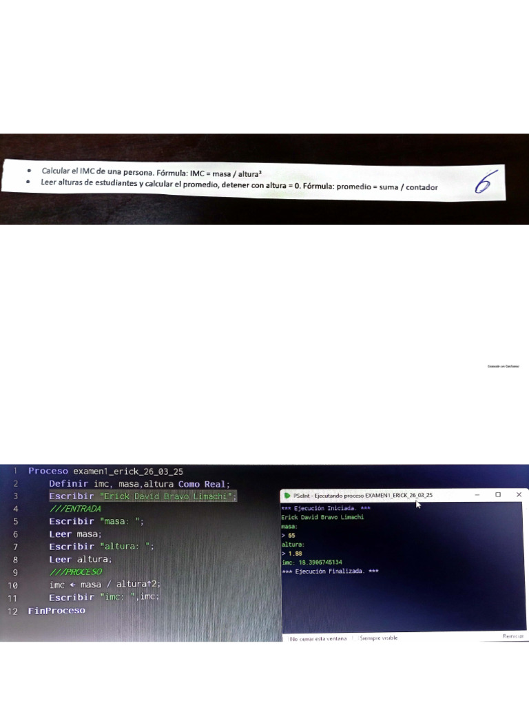 Examen de Programación 1 | PDF