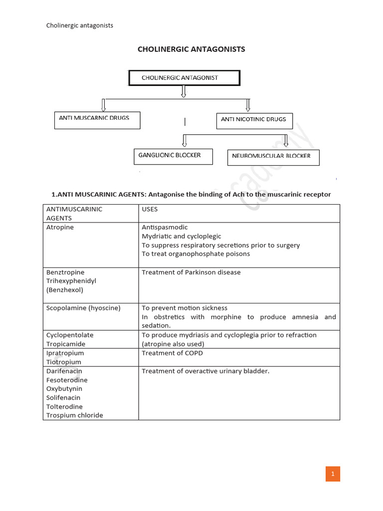 Overview of Cholinergic Antagonists | PDF | Acetylcholine ...