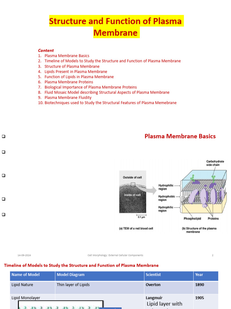 Lecture 4 Plasma Membrane (1) - 9d9db3c006acac1f4d8 - 250922 - 135634 ...
