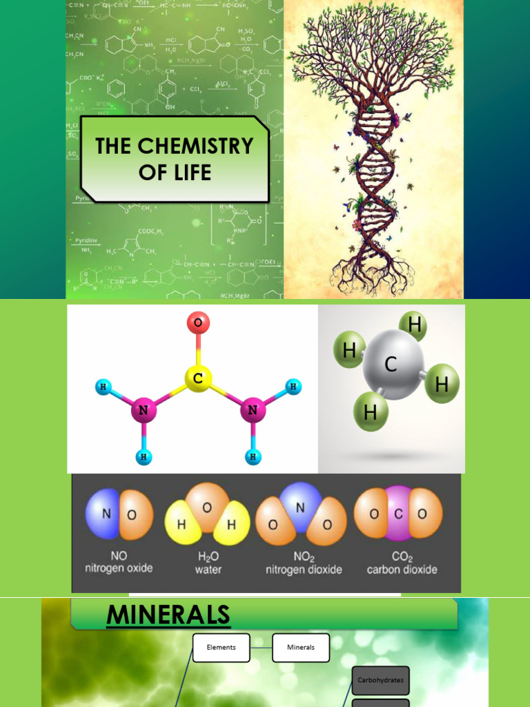 Chemistry of Life: Elements and Compounds | PDF | Fertilizer | Glucose