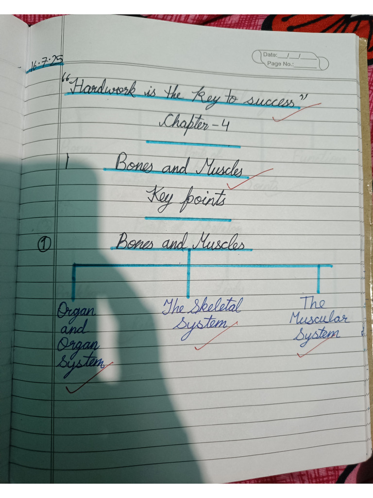 Chapter 4 Science | PDF