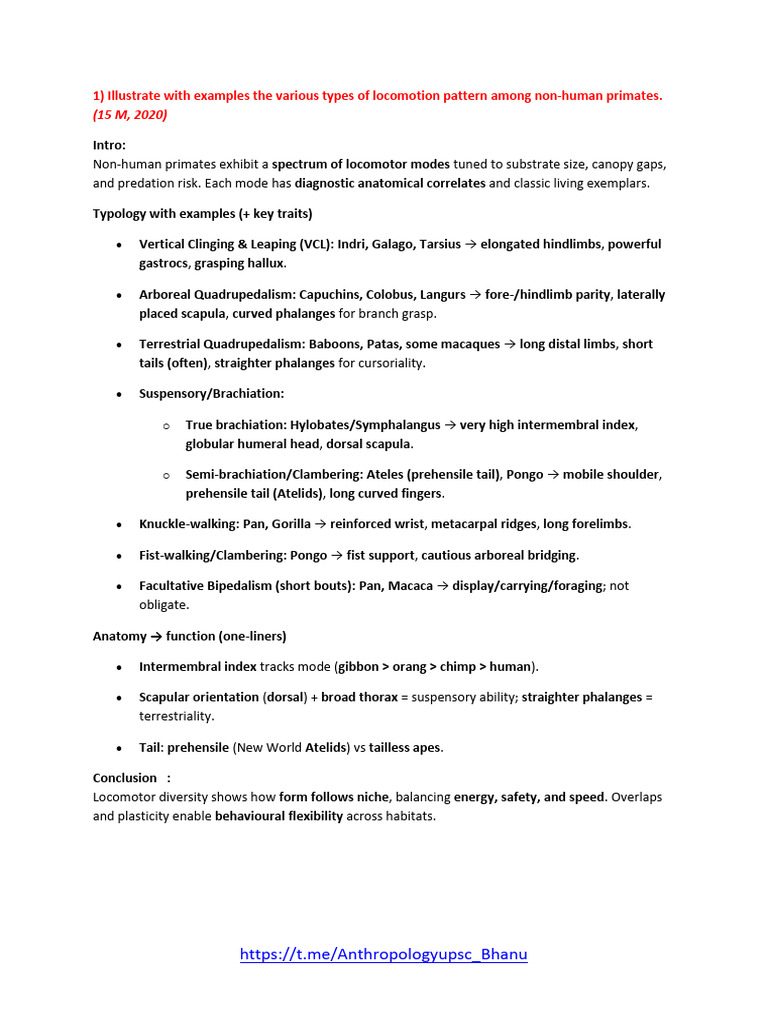 Primate Adaptations - Day - 6 | PDF | Ape | Animal Locomotion
