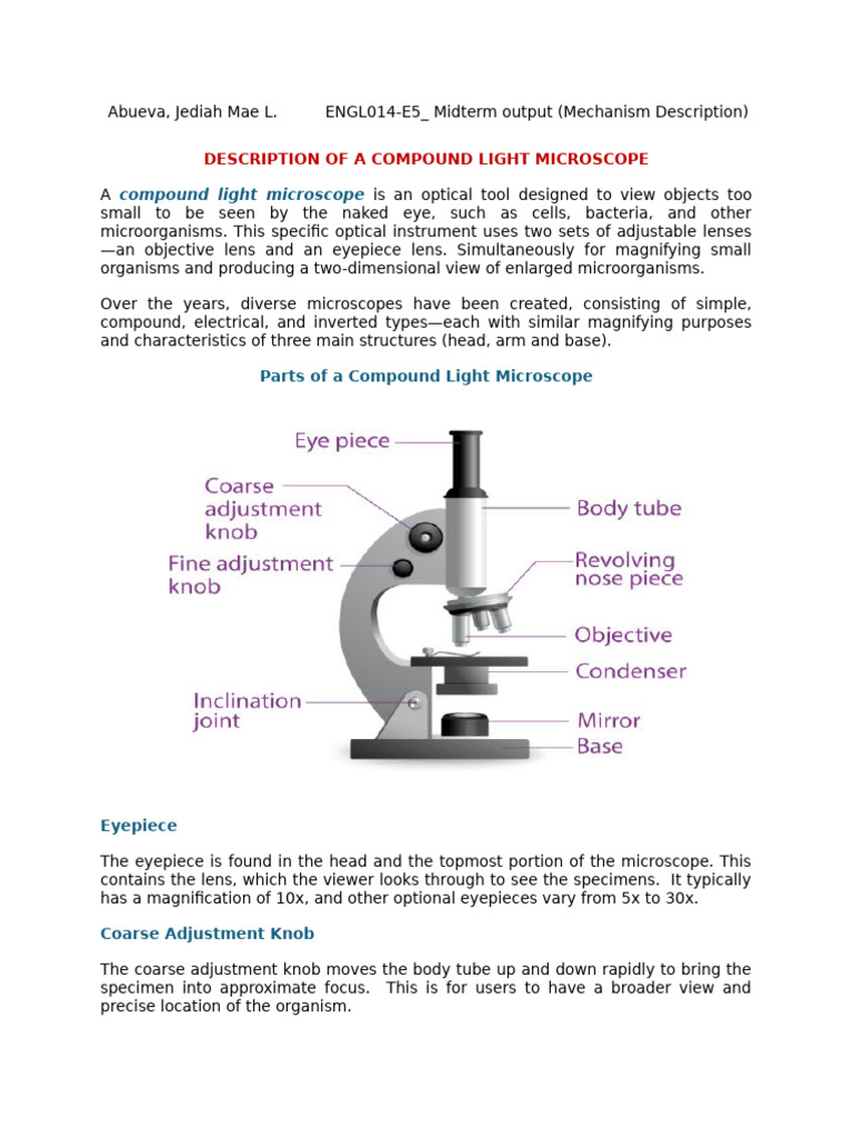 Understanding Compound Light Microscopes | PDF | Glass Engineering And ...