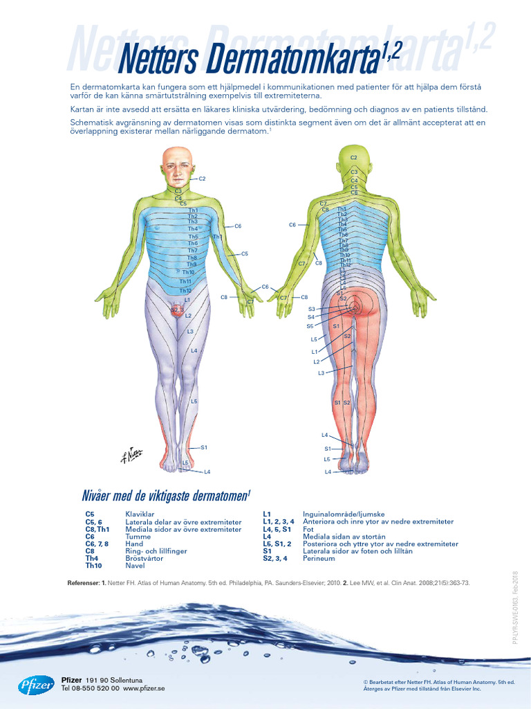 Derma Tom Karta | PDF