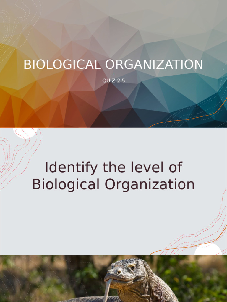 Quiz 2.5 Biological Organization | PDF