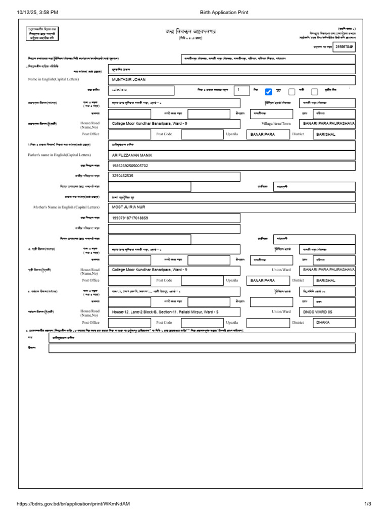 Birth Application Print Johan | PDF