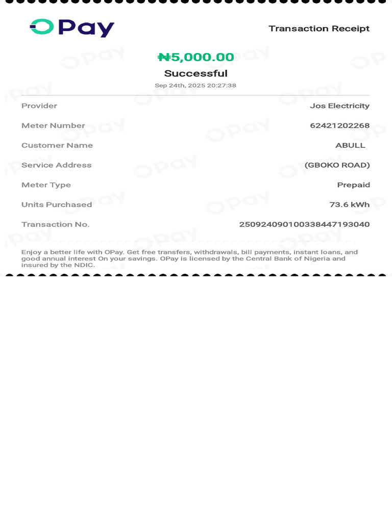 Light Bill | PDF