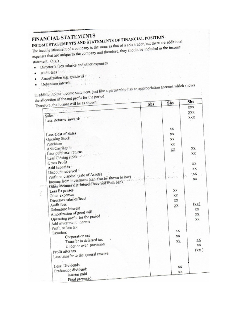 Format For Preparation of Company Financial Statements | PDF