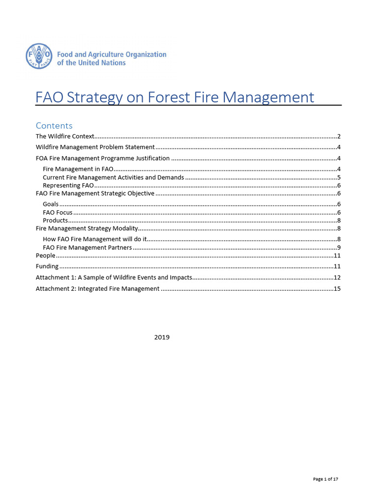 FAO Forest Fire Management Strategy | PDF | Wildfire | Food And ...