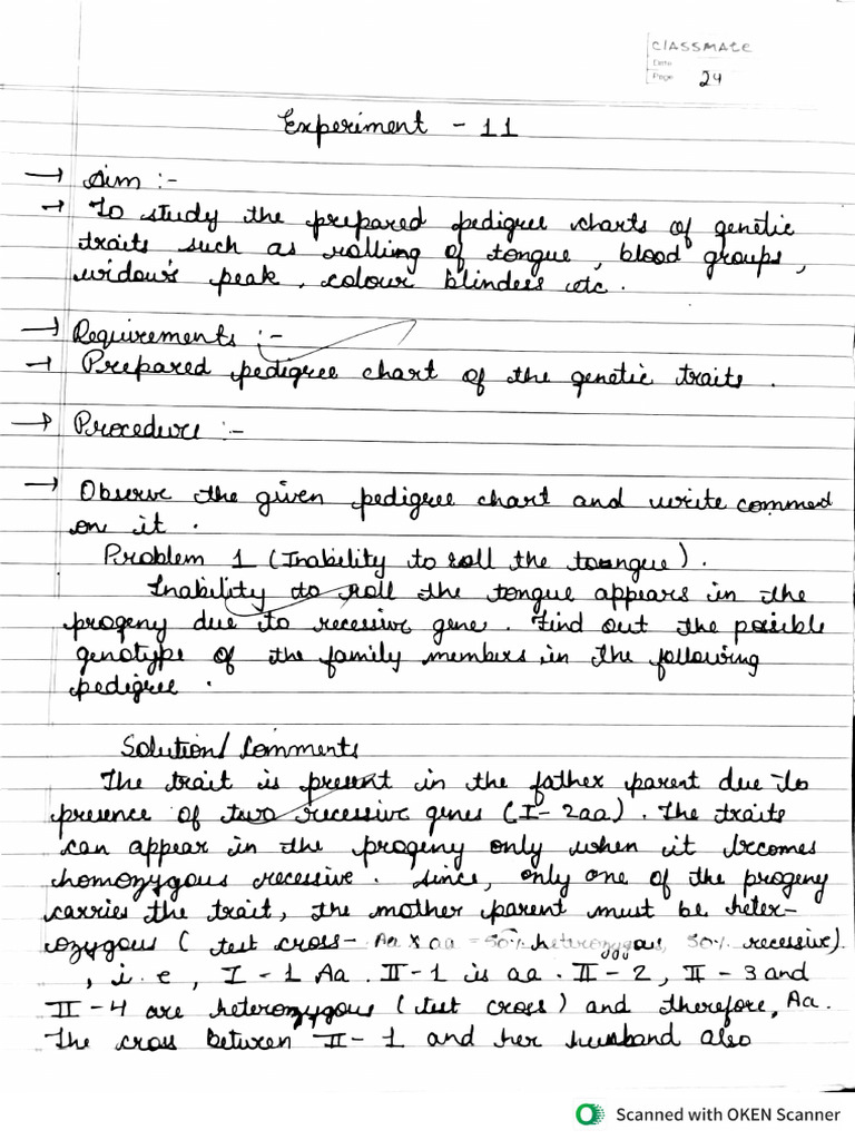 Exp 11 | PDF