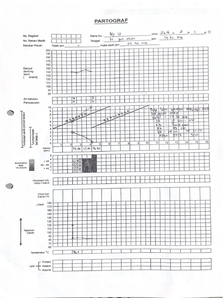 Partograf Ny. U | PDF