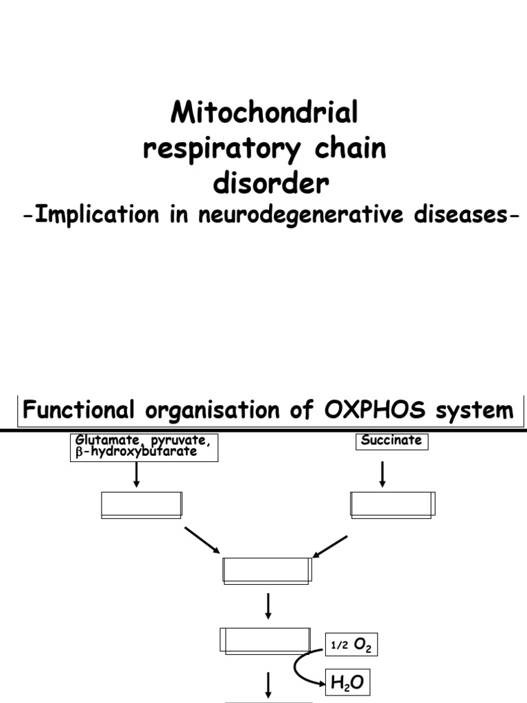 Mitoch Disorder | PDF | Mitochondrion | Mitochondrial Dna