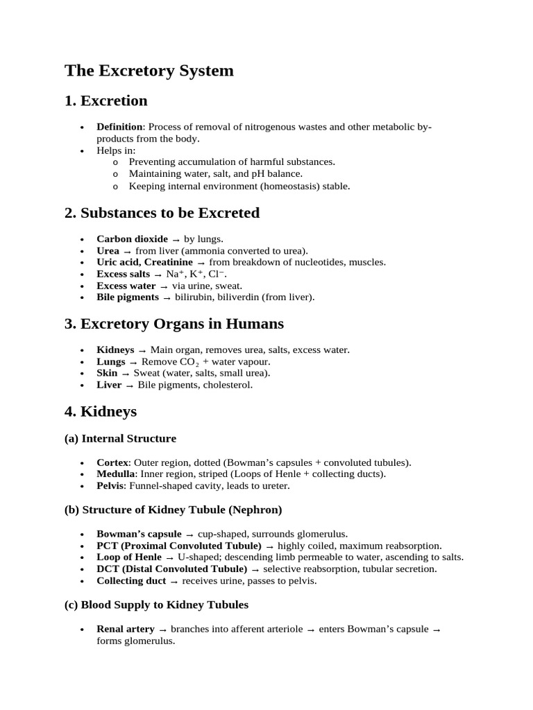Understanding the Human Excretory System | PDF | Kidney | Organ (Anatomy)