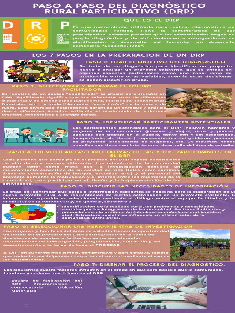 Infografia DRP 2 | PDF