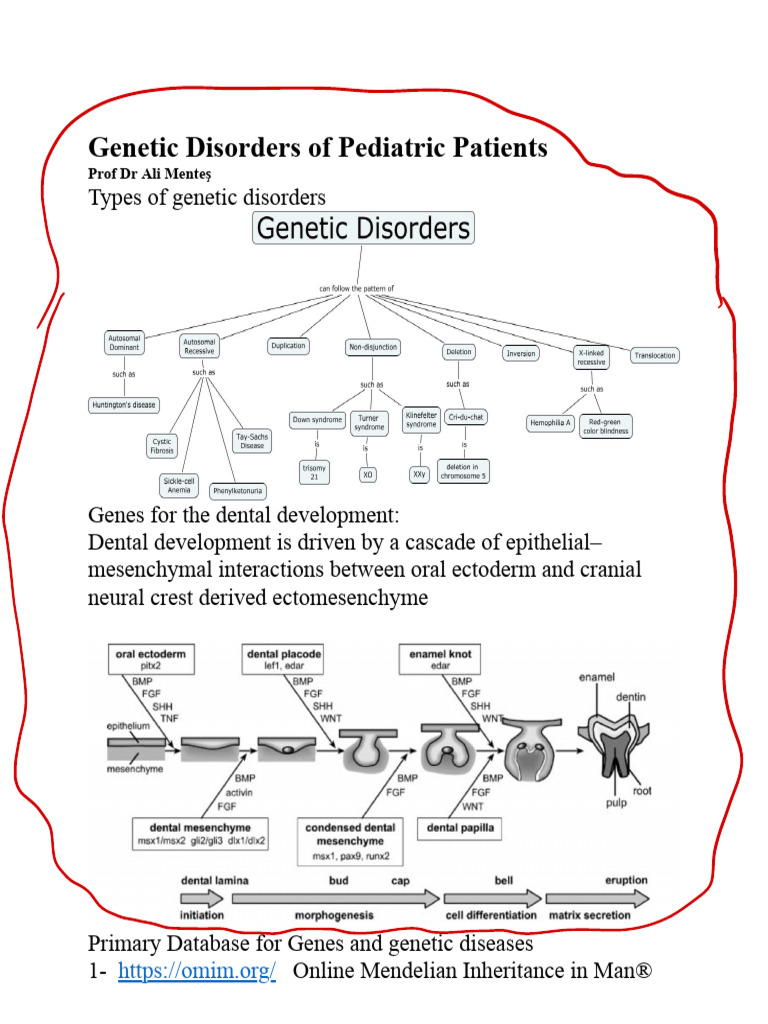 Genetic Disorders of Pediatric Patients 3 | PDF | Tooth Enamel | Human ...