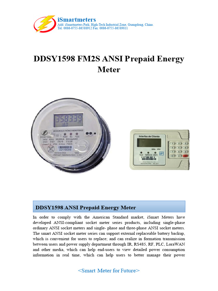 DDS1598 FM2S ANSI Prepaid Energy Meter Catalog | PDF | Mains ...