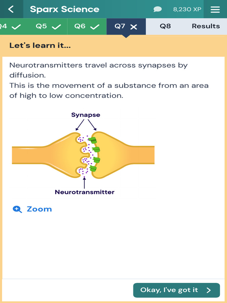 Task 2 - Homework - Sparx Science | PDF