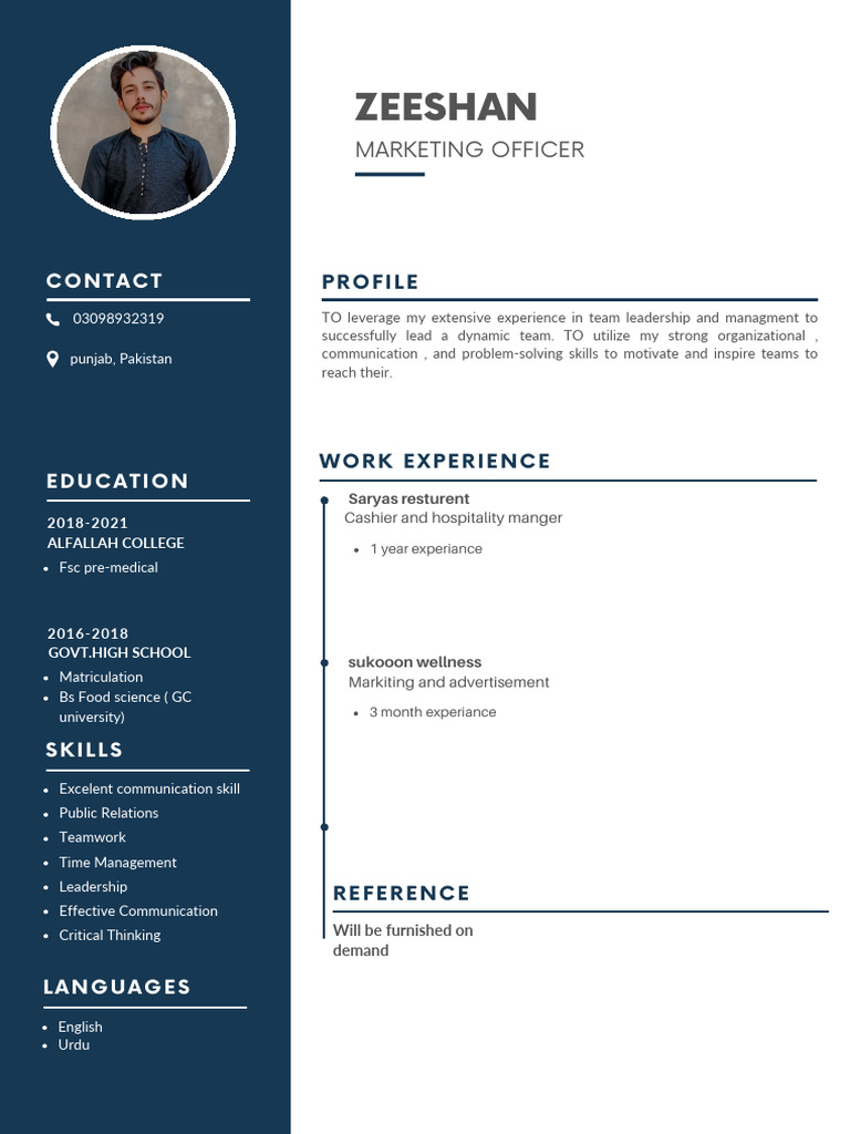 Zeeshan Resume | PDF