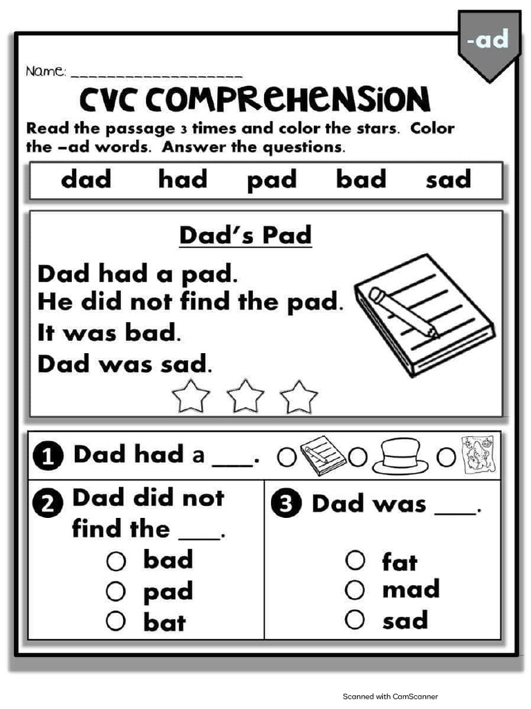 English Worksheet Containing Phonics, Digraphs and CVC Words | PDF