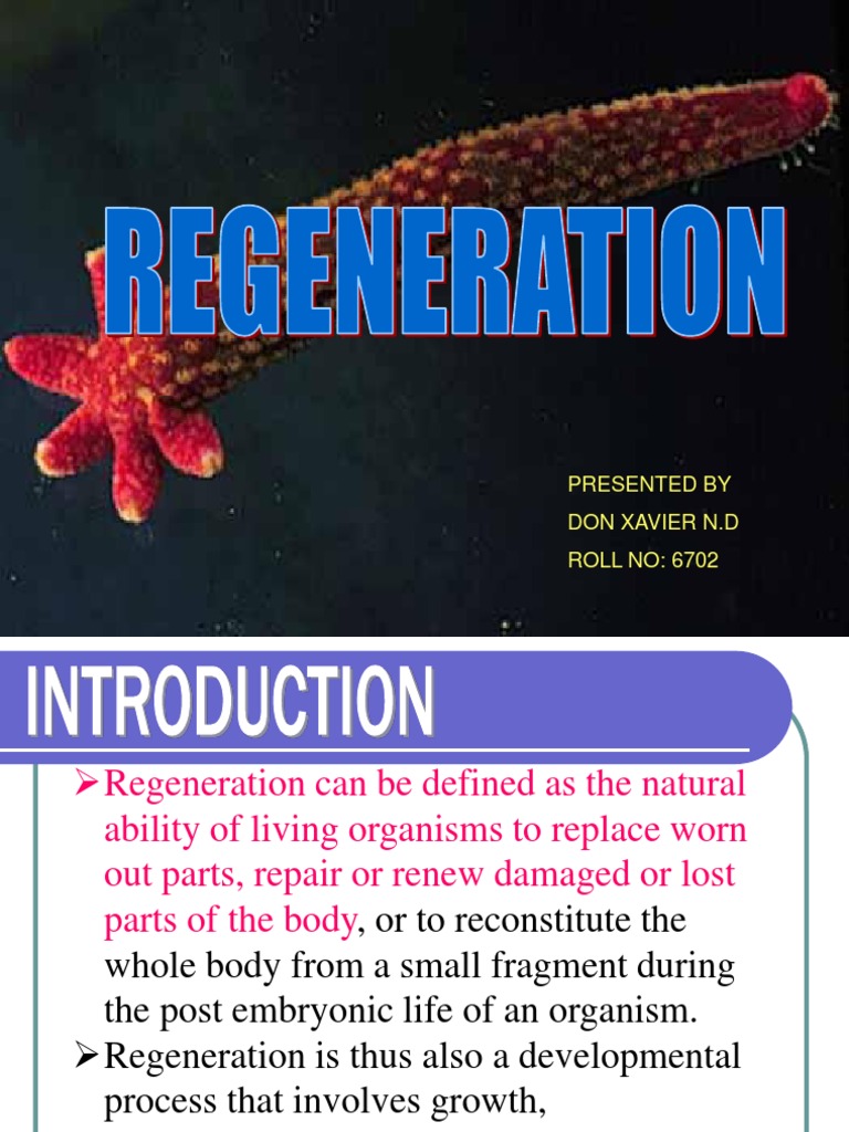 Regeneration | PDF | Regeneration (Biology) | Developmental Biology
