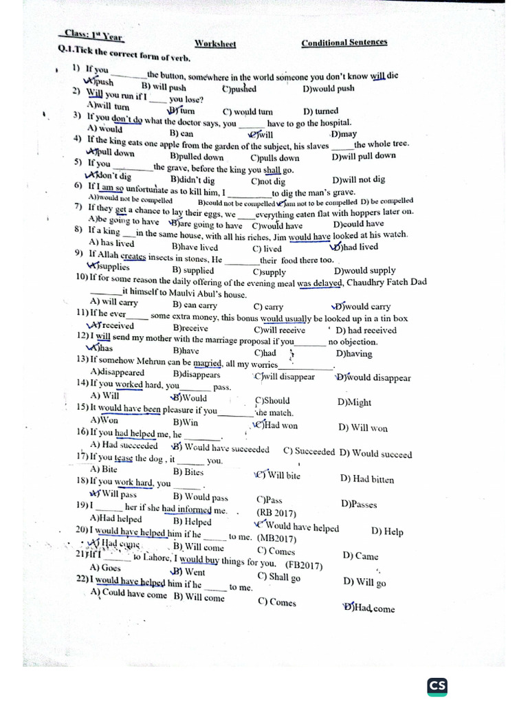 Correct Form of Verb | PDF