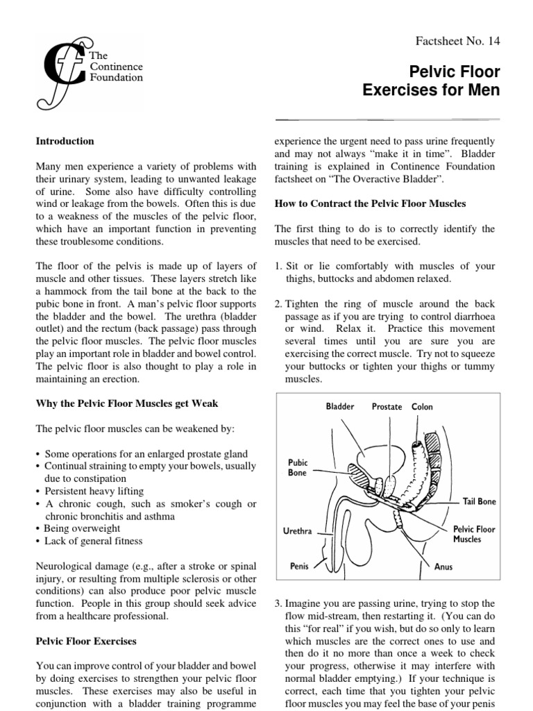 Pelvic Floor Exercises for Men Guide | PDF
