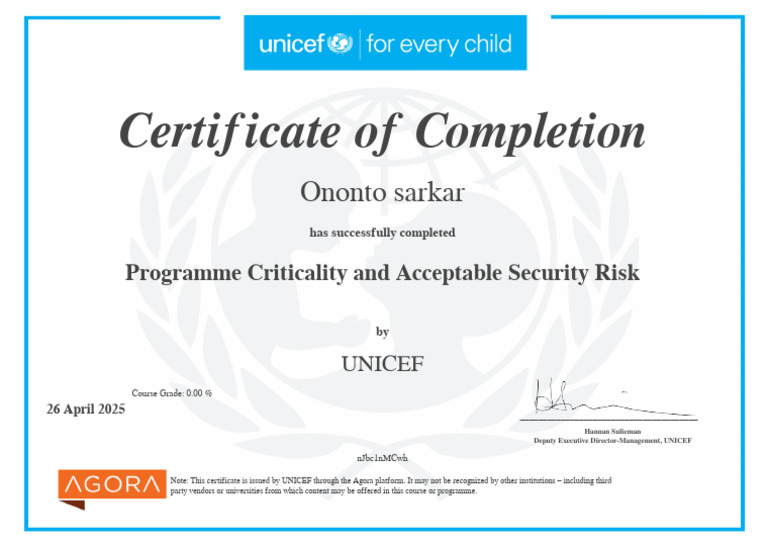 UNICEF Completion Certificate: Security Risk Program | PDF