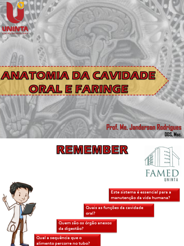 Anatomia da Cavidade Oral e Faringe | PDF | Boca | Língua