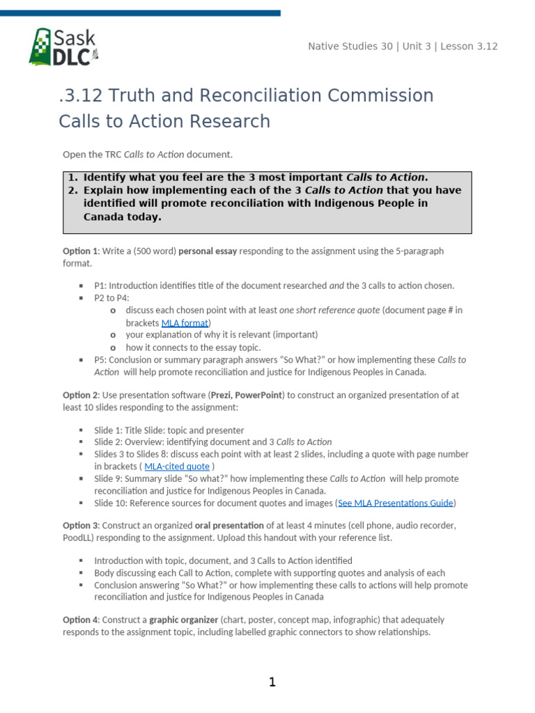 TRC Calls to Action for Reconciliation | PDF