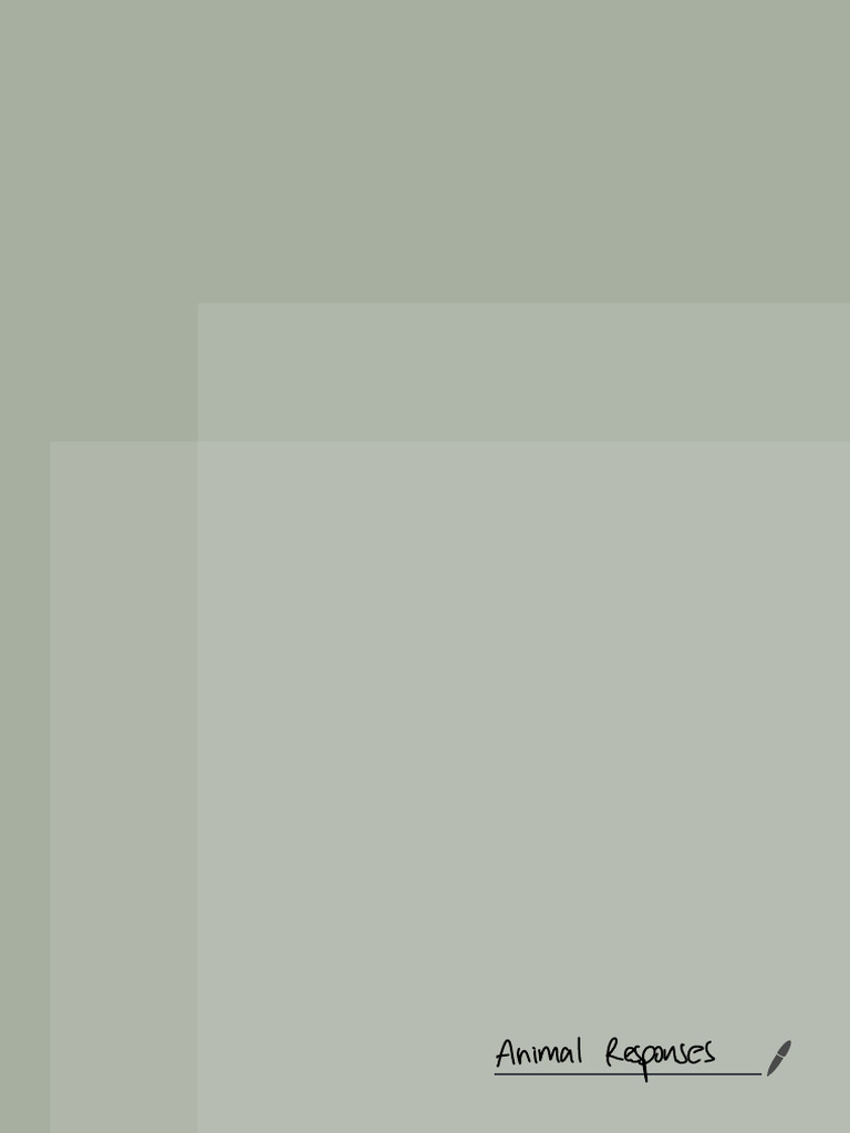 Animal Responses - A2 | PDF | Motor Neuron | Nervous System