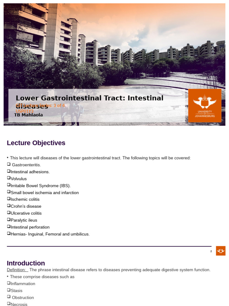 GIT No. 3 - Lower Tract | PDF | Crohn's Disease | Gastrointestinal Tract