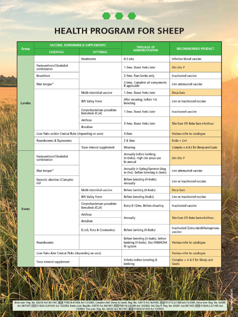 Kyron Agri Species Program V2 Sheep | PDF