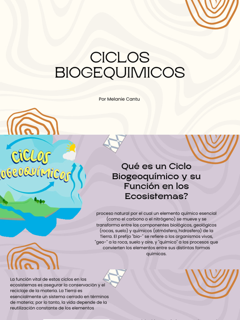 Presentación Definición o Explicación Del Amor Propio para Terapia o ...