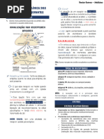 Posologia e Indicações do Codipront | PDF | Opioide | Amamentação