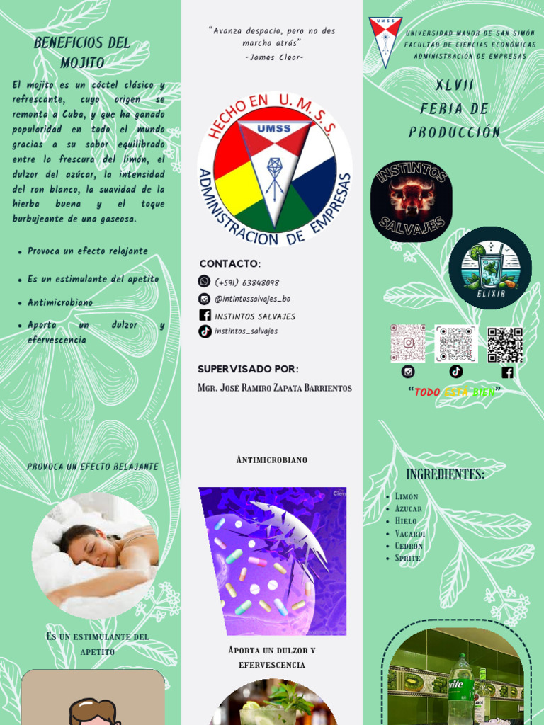 Tripticos Mojitos | PDF