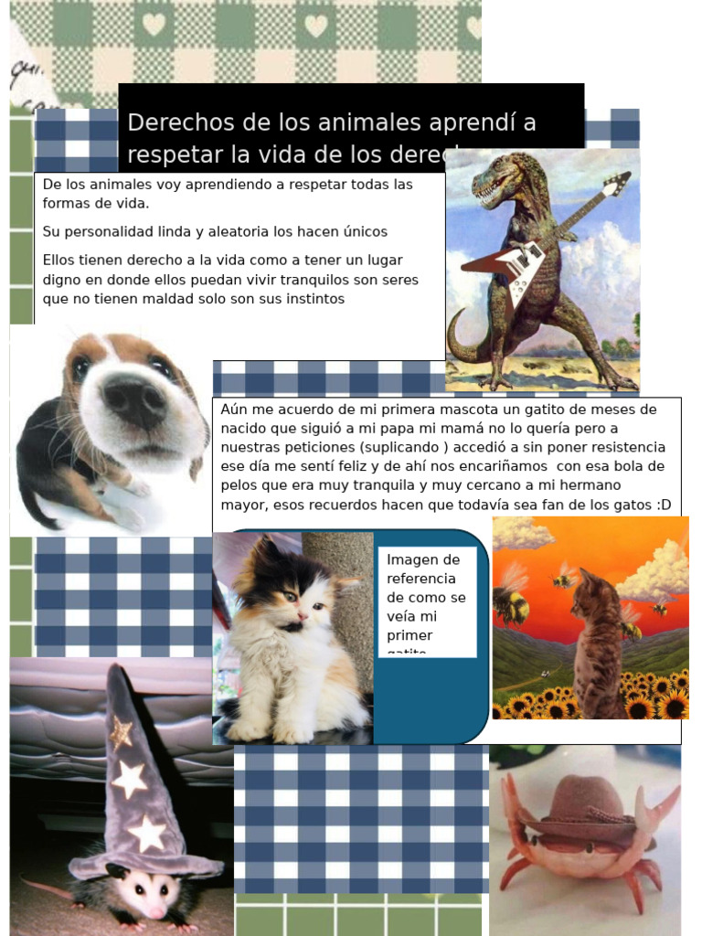 Derechos de Los Animales Aprendo A Respetar Los Derechos Humanos | PDF