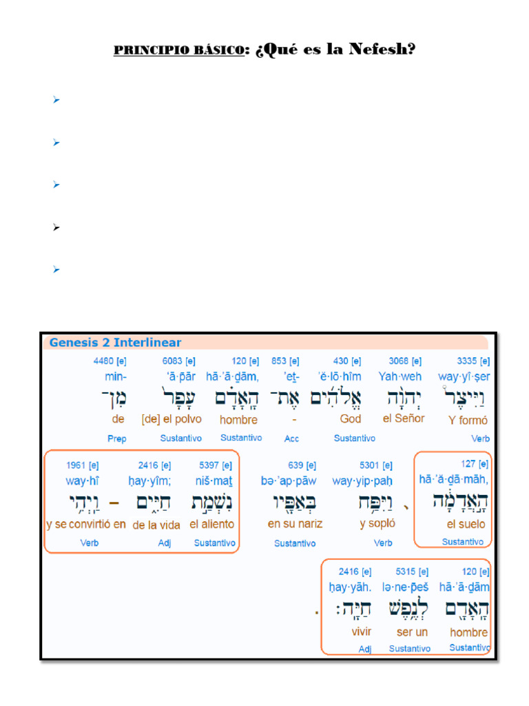 Significado de Nefesh en Génesis | PDF | Tetragrammaton | Traducciones
