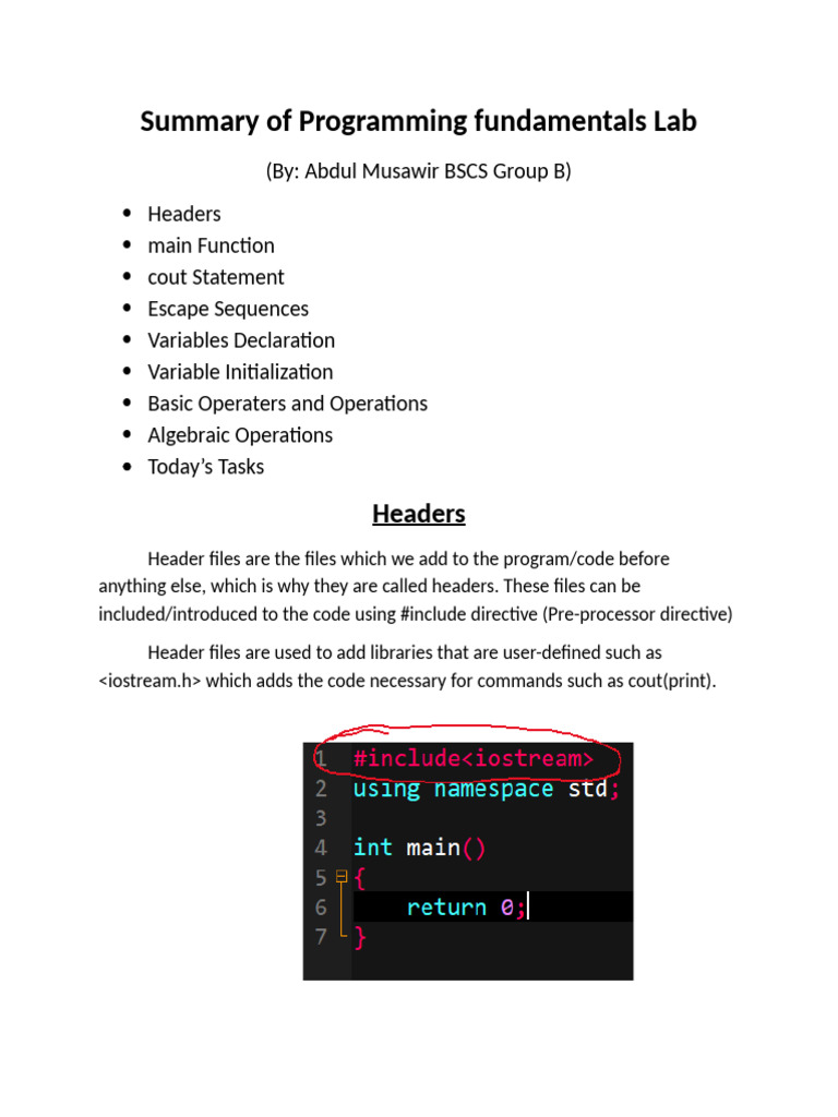 Summary of Programming Fundamentals Lab | PDF | Computer Program ...