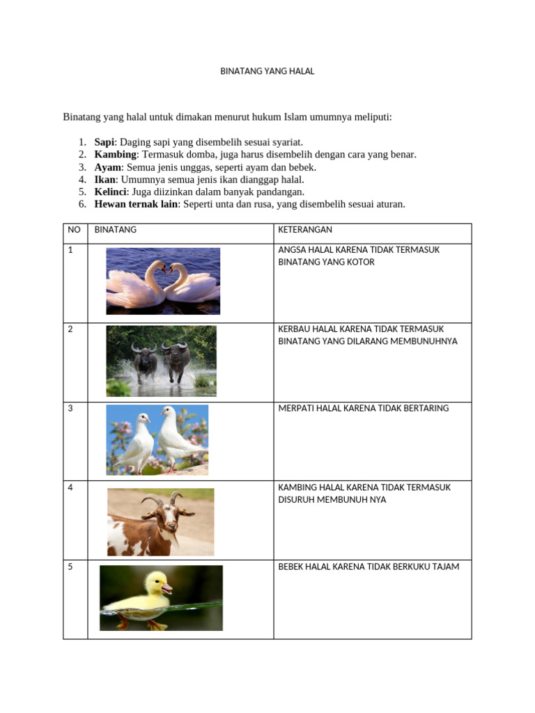 Hewan Halal dan Haram dalam Islam | PDF