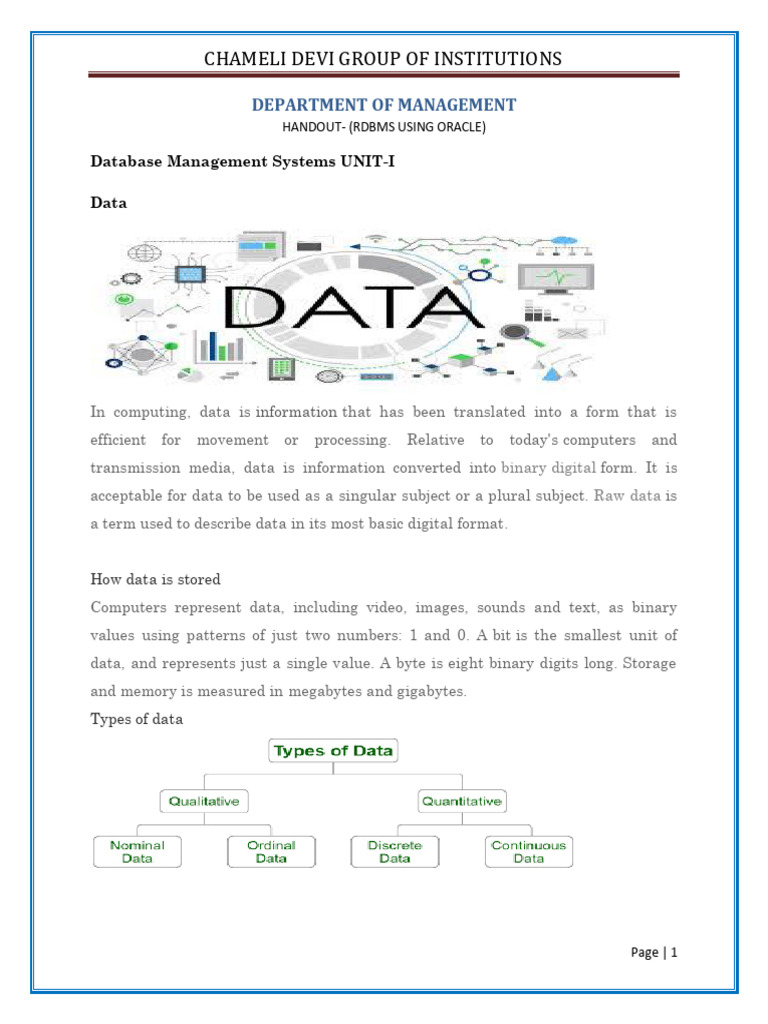 RDBMS Fundamentals Using Oracle | PDF | Databases | Relational Database