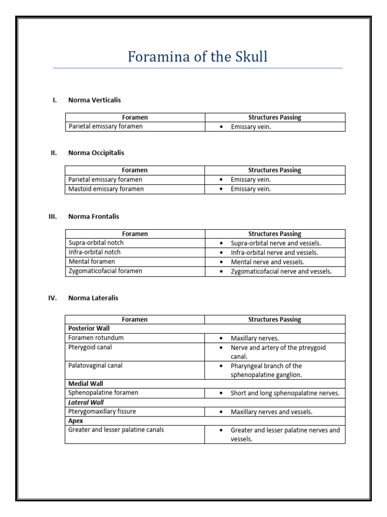 Foramens of Skull | PDF | Skull | Human Head And Neck
