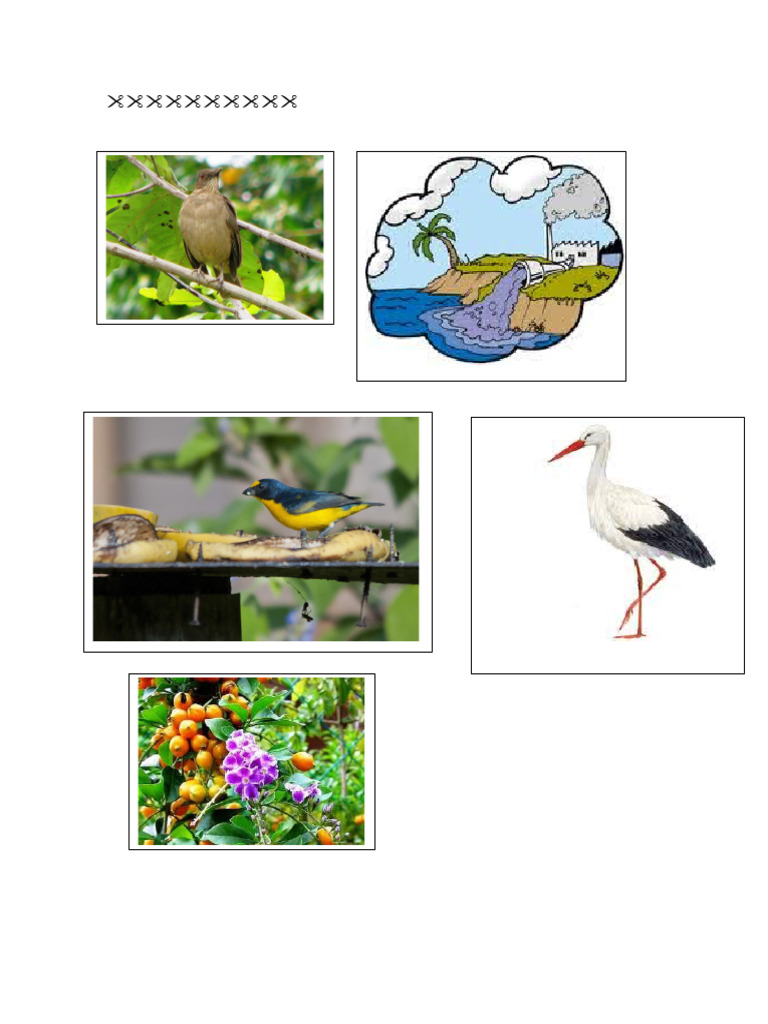 Sílabas Gue Gui Güe Güi | PDF