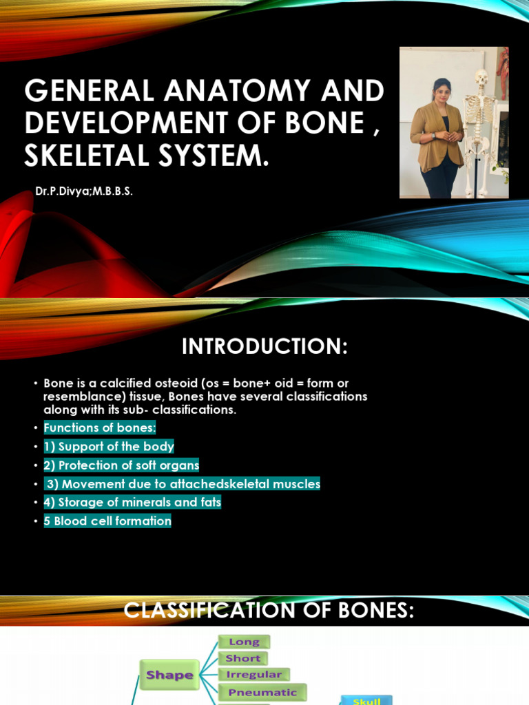 Anatomy - Lecture 1 Continuation | PDF | Bone | Skeleton