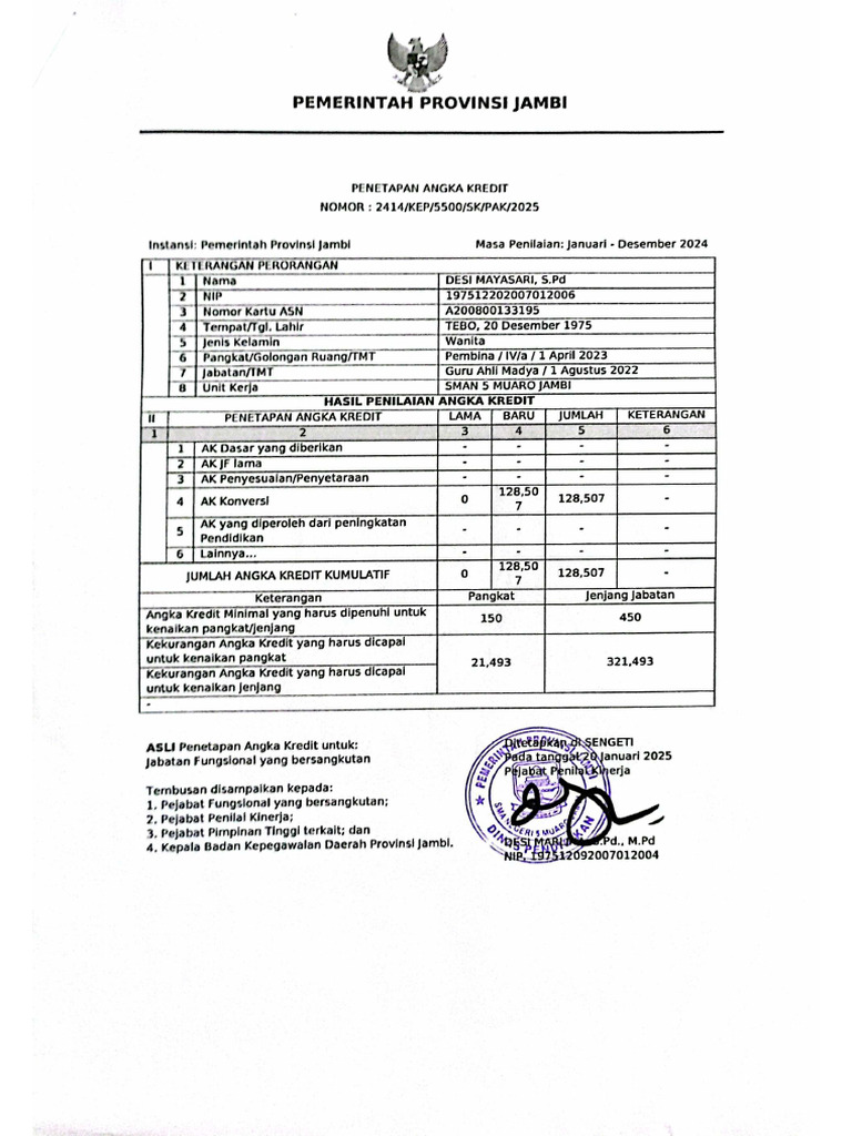 Pak DS | PDF