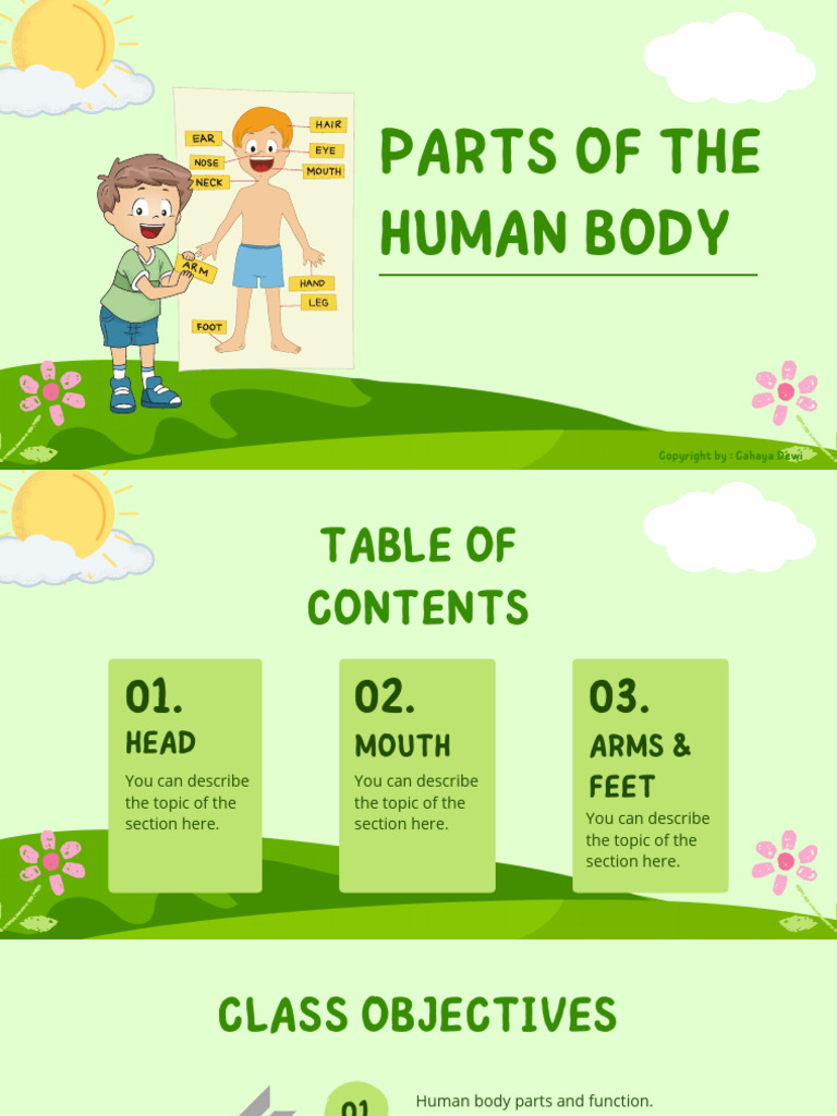 Toddle - G1 UoI Science P2 M I Know My Body Living Things-1 | PDF